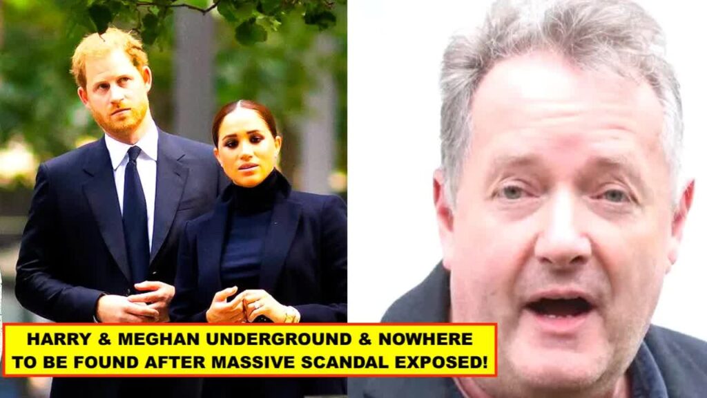 Prince Harry and Meghan Markle’s Archewell Foundation Faces Major Donation Drop – Royal Plus